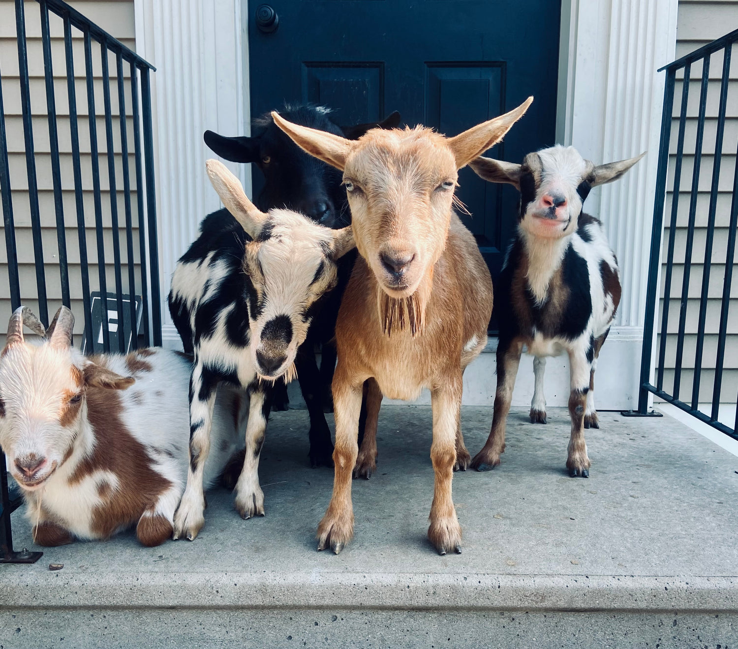 Round Hill Ranch – Round Hill Ranch RI