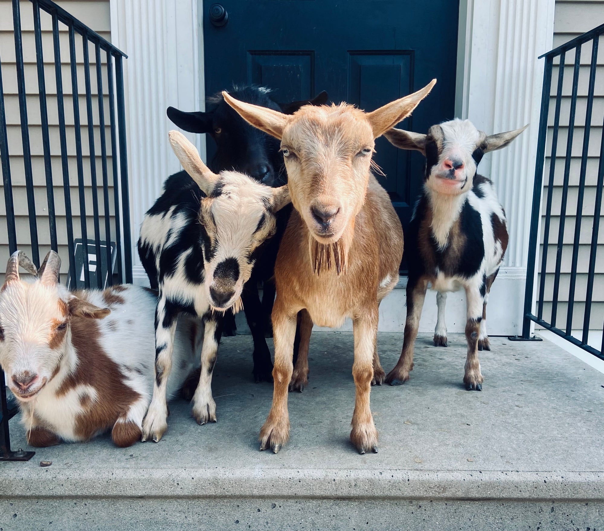 Round Hill Ranch – Round Hill Ranch RI