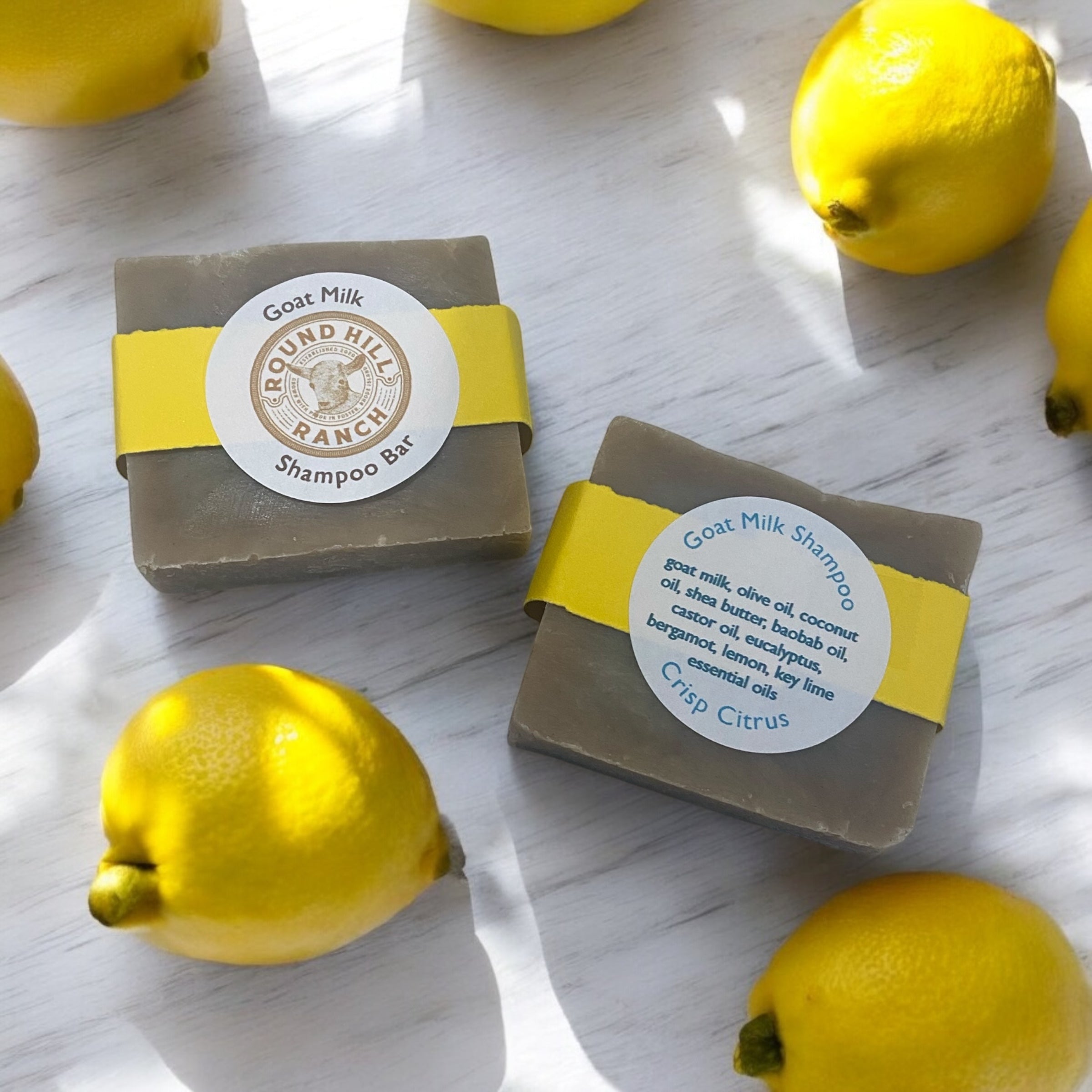 Crisp Citrus Goat Milk Shampoo – Round Hill Ranch RI